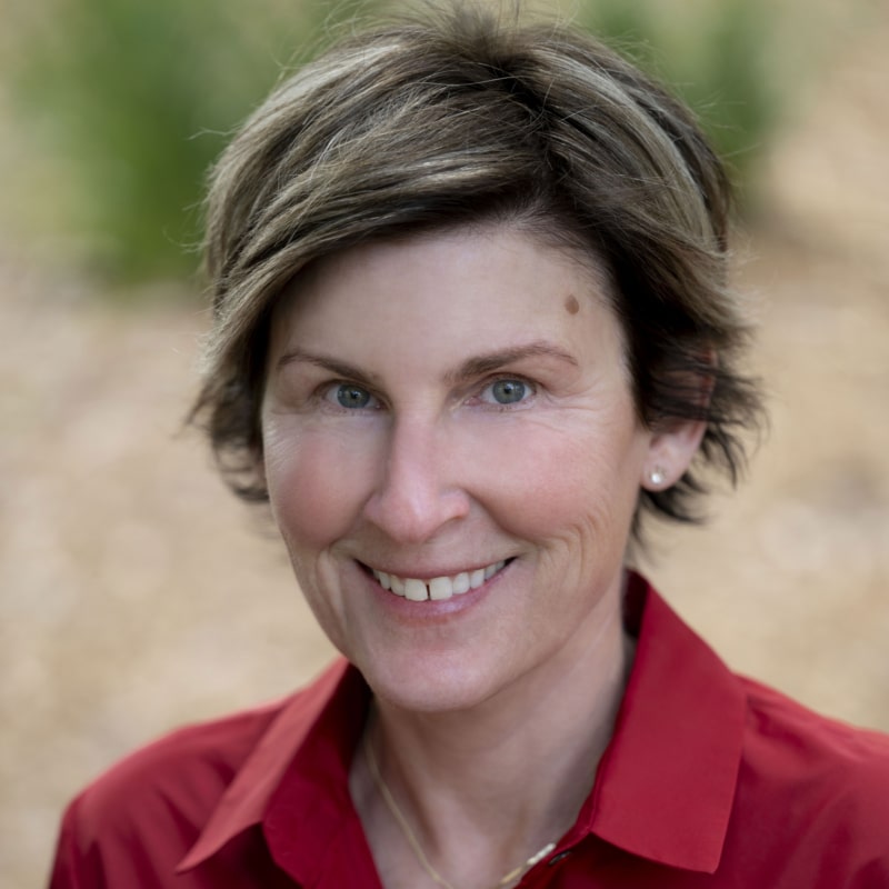 Lori Peterson - Collaborative Consulting - Read Bio